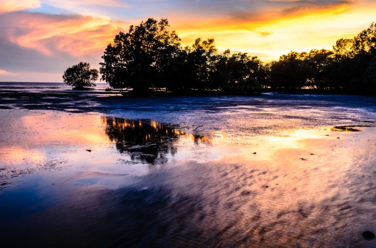 Indonesia National Parks | National Parks Association