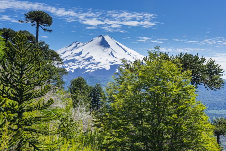 Conguillío National Park | National Parks Association