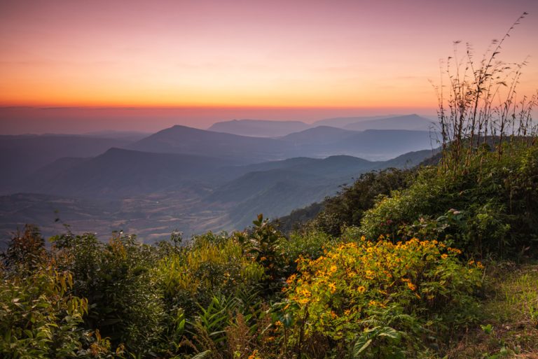 Phu Ruea National Park | National Parks Association