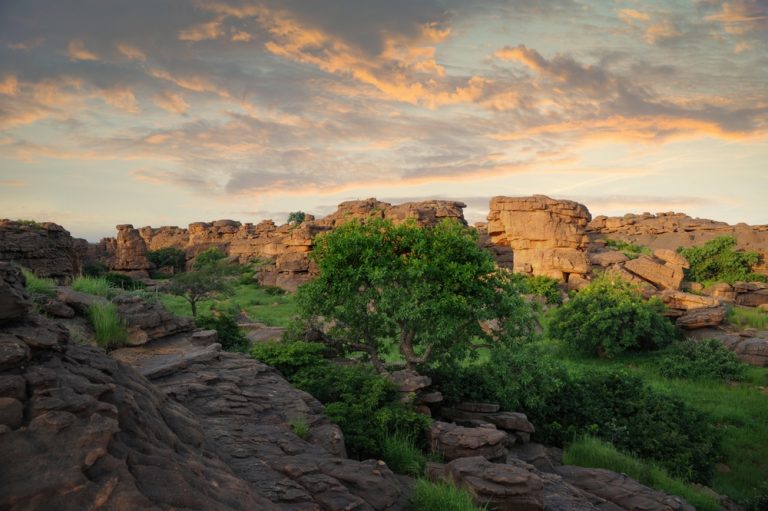 Mali National Parks | National Parks Association