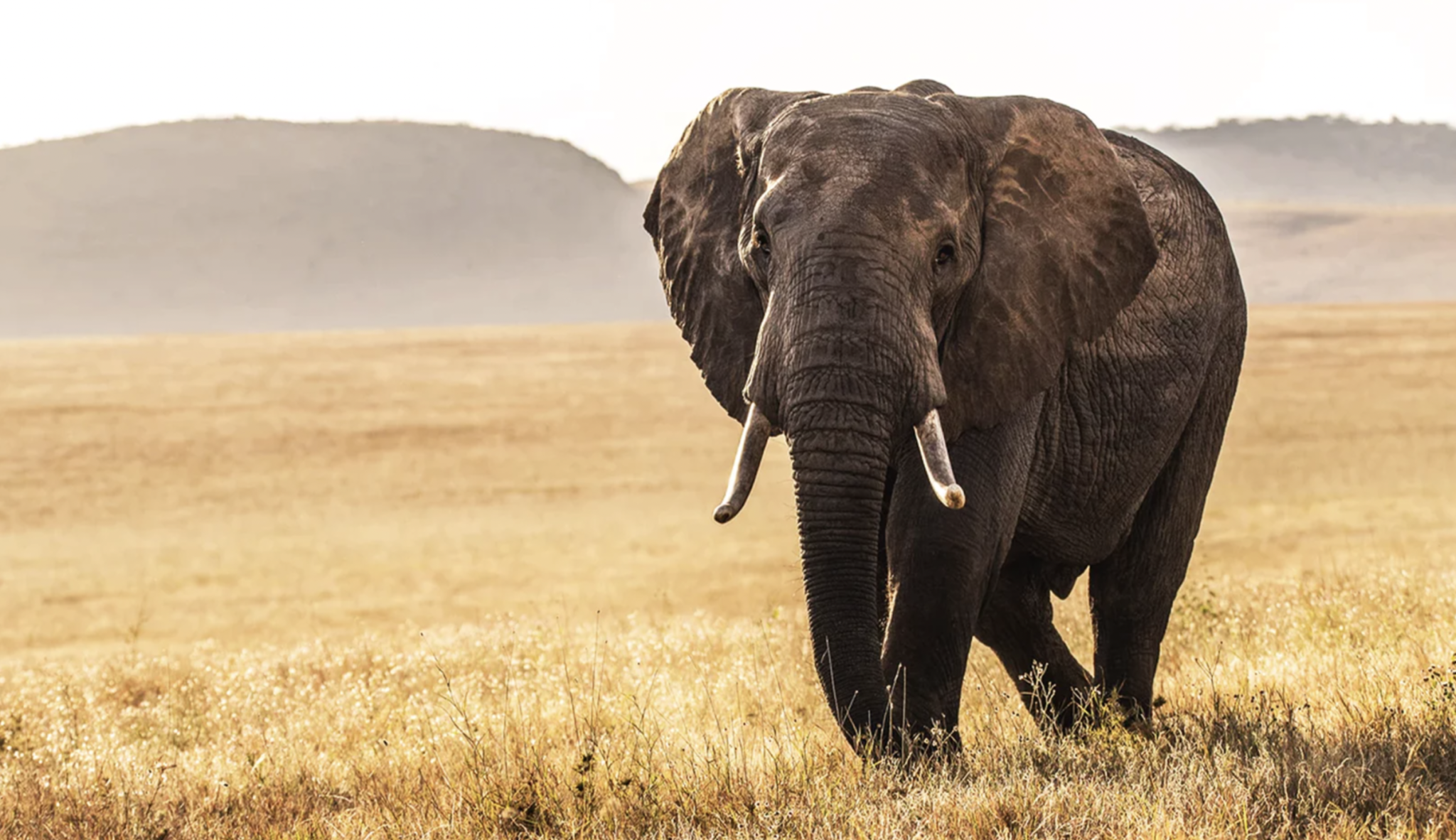Dinder National Park | National Parks Association