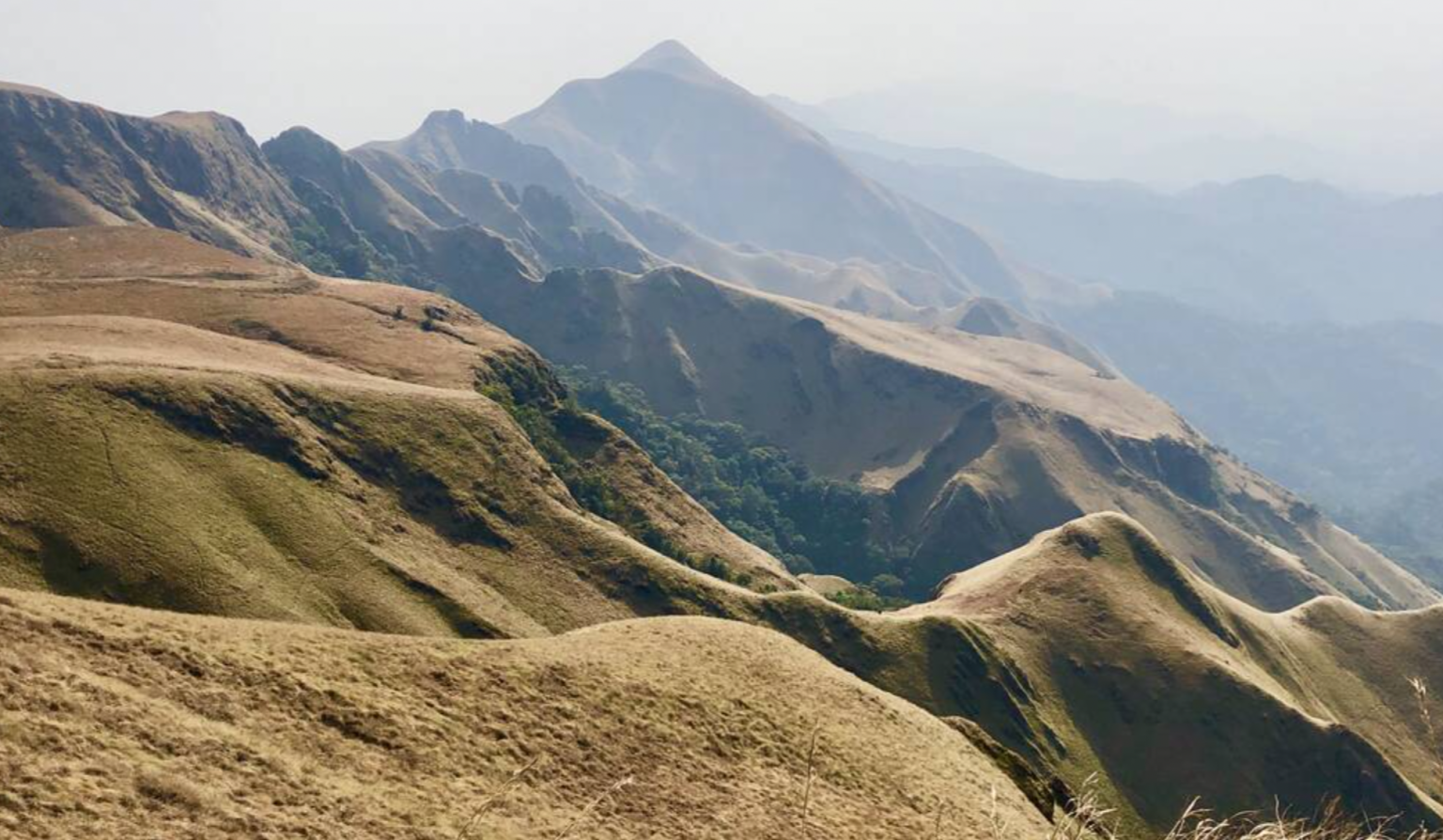 Mount Nimba National Park | National Parks Association