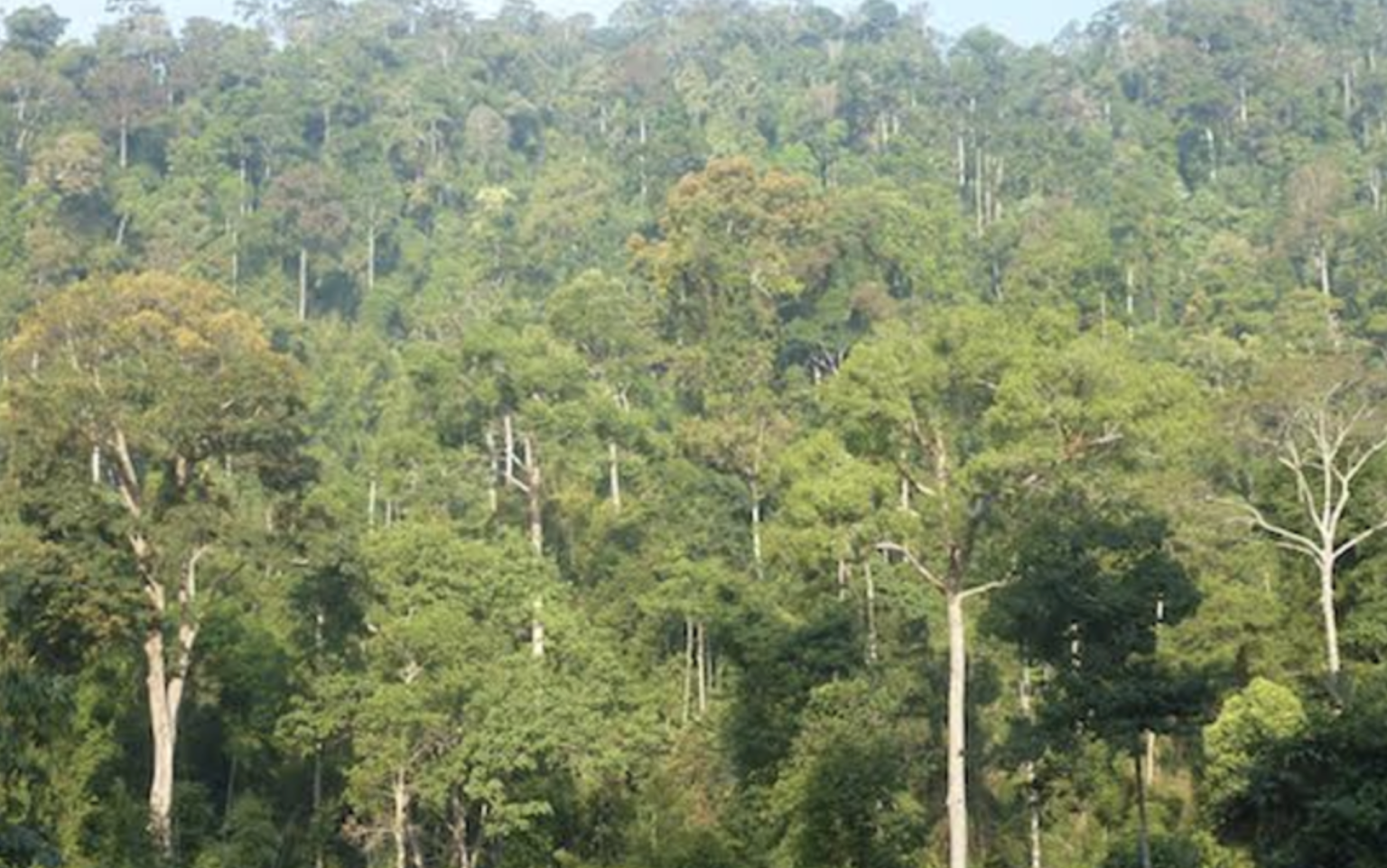 Lenya National Park | National Parks Association