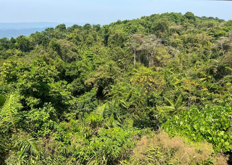 Mount Harriet National Park | National Parks Association