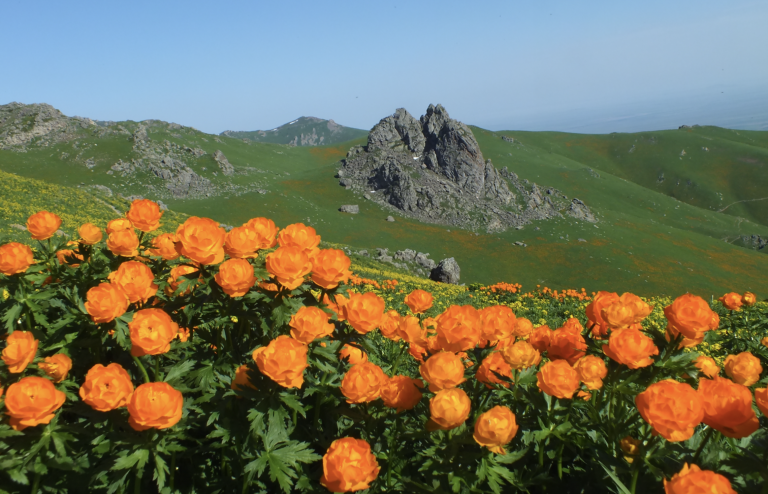 Tarbagatai National Park | National Parks Association