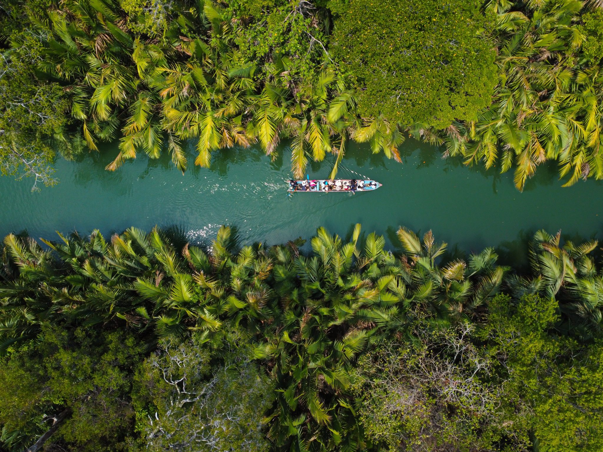Ujung Kulon National Park | National Parks Association