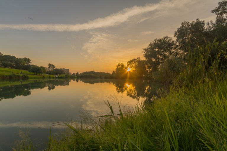 Yarkon National Park | National Parks Association