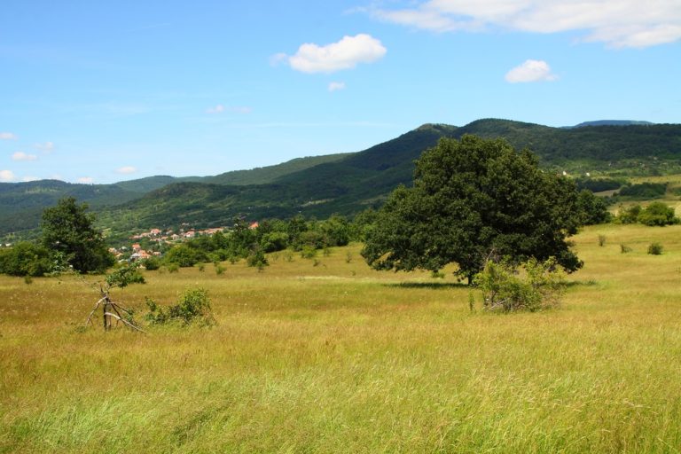 Danube-Ipoly National Park | National Parks Association