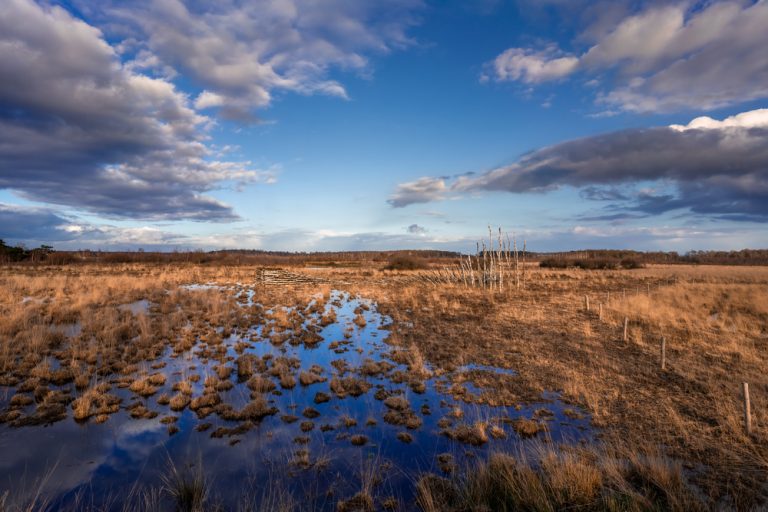 De Groote Peel National Park | National Parks Association
