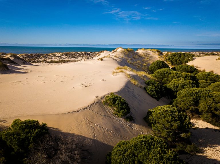 Donana National Park | National Parks Association