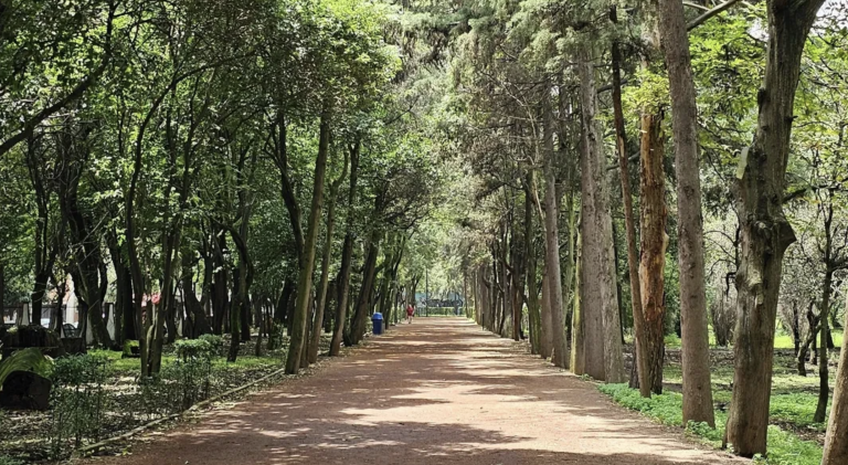 El Historico Coyoacan National Park | National Parks Assc