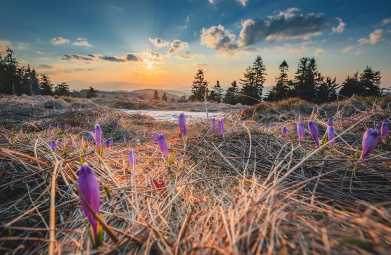 Gorce National Park | National Parks Association