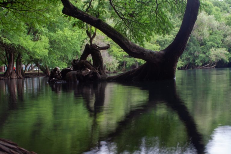 Lago de Camecuaro National Park | National Parks Association