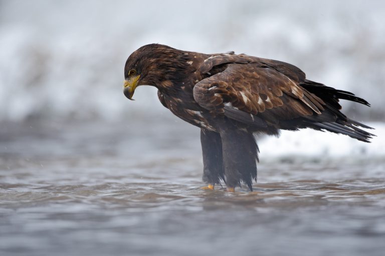 Láhko National Park | National Parks Association
