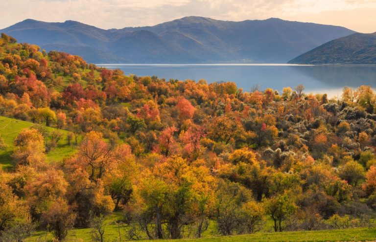 Lake Prespa National Park | National Parks Association