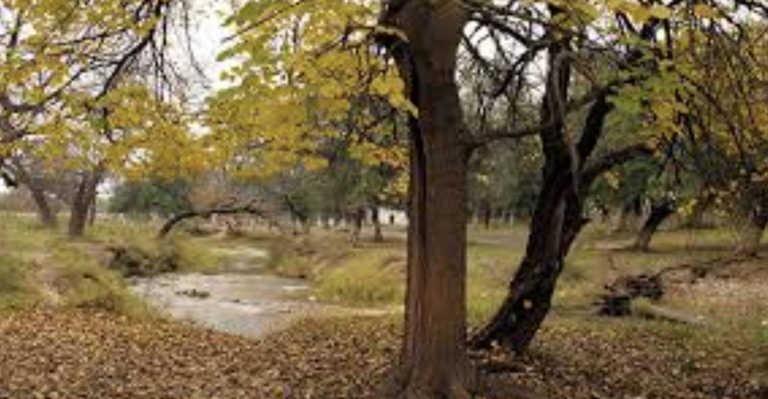 Los Novillos National Park | National Parks Association