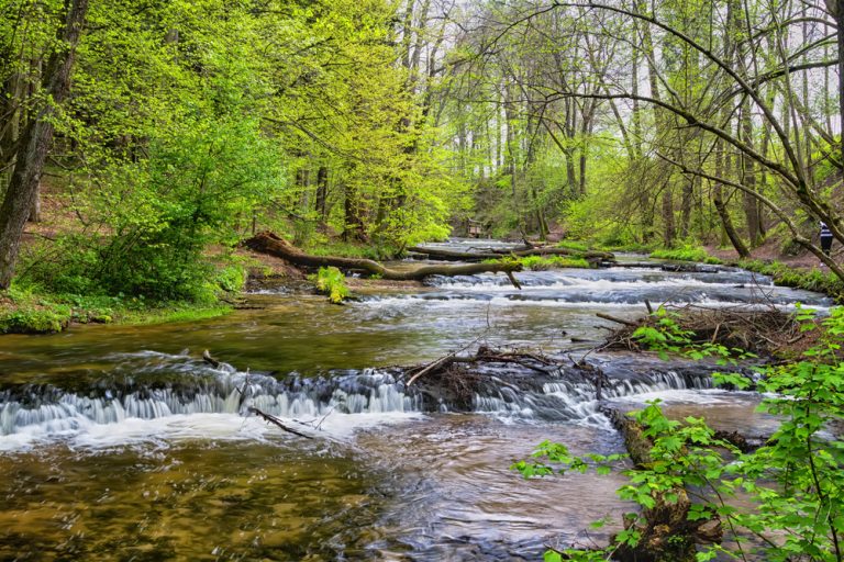 Roztocze National Park | National Parks Association