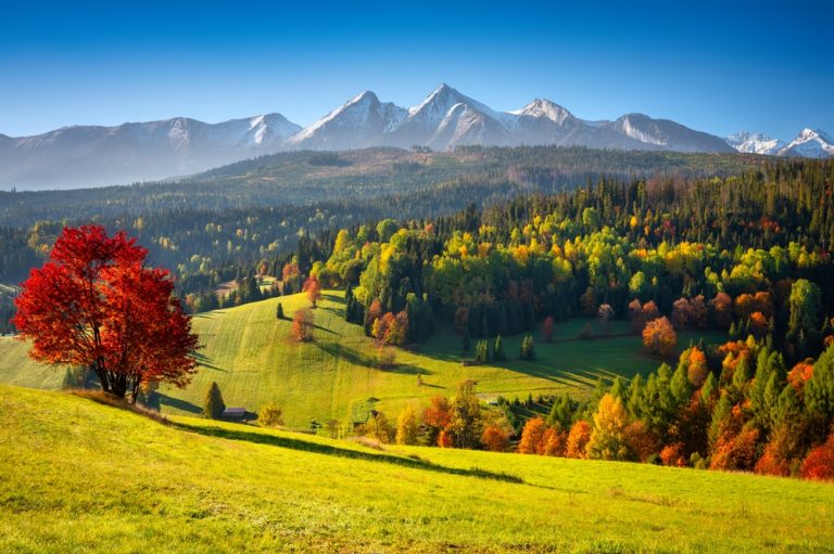 Slovakia National Parks | National Parks Association