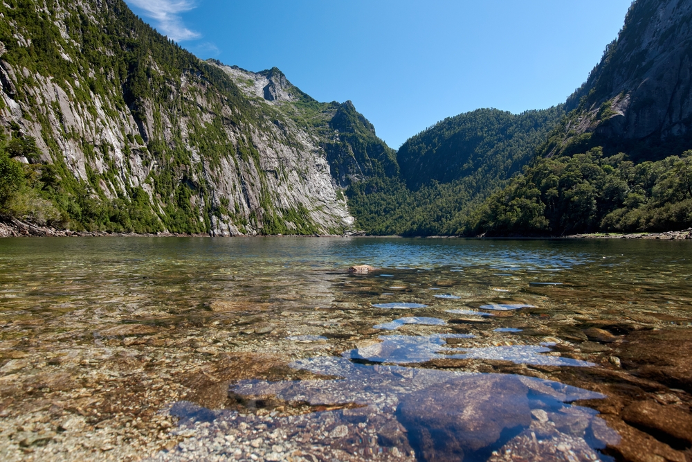 Alerce Andino National Park National Parks Association