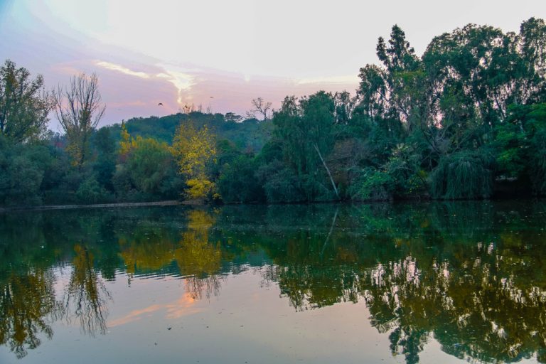 Ayub National Park | National Parks Association