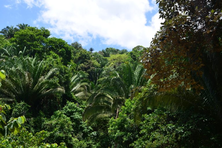 Capiro Calentura National Park | National Parks Association