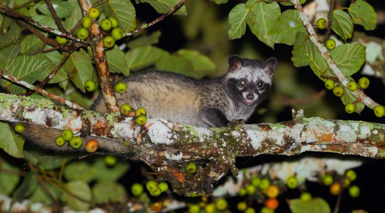 Guadalupe Mabugnao Mainit Hot Springs National Park NPA