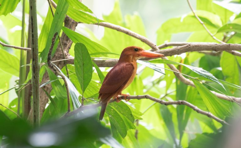 Lake Butig National Park | National Parks Association