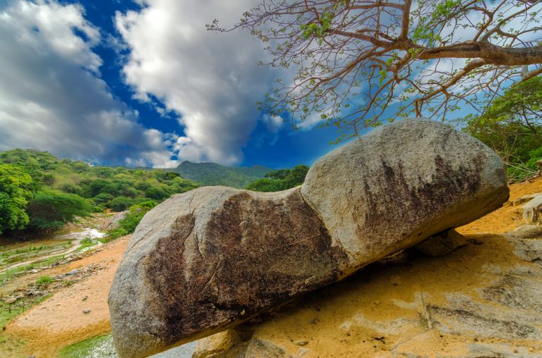 Macuira National Park | National Parks Association