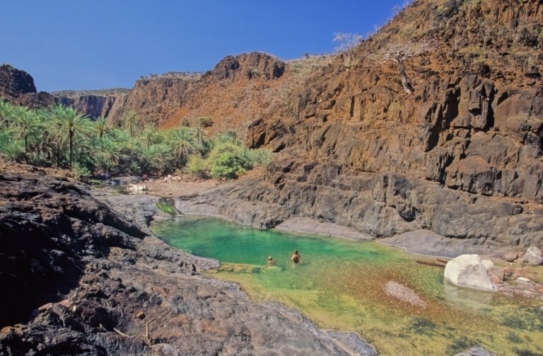 Socotra National Park | National Parks Association